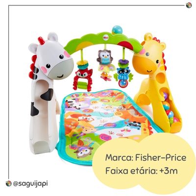 Ginásio de atividades Zebrinha e Girafa da Fisher-Price – Sagui Japi